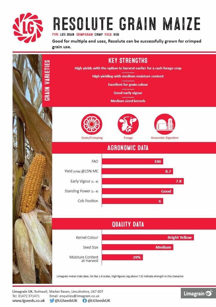 Resolute Grain Maize Technical Summary - LG Seeds