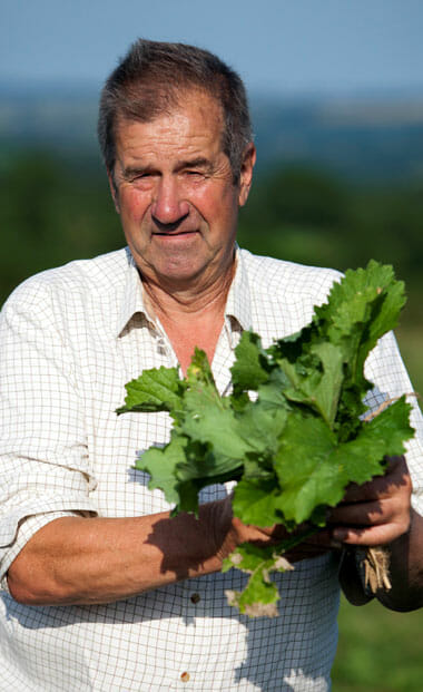 Philip Sims, Cornwall - Skyfall - LG Seeds
