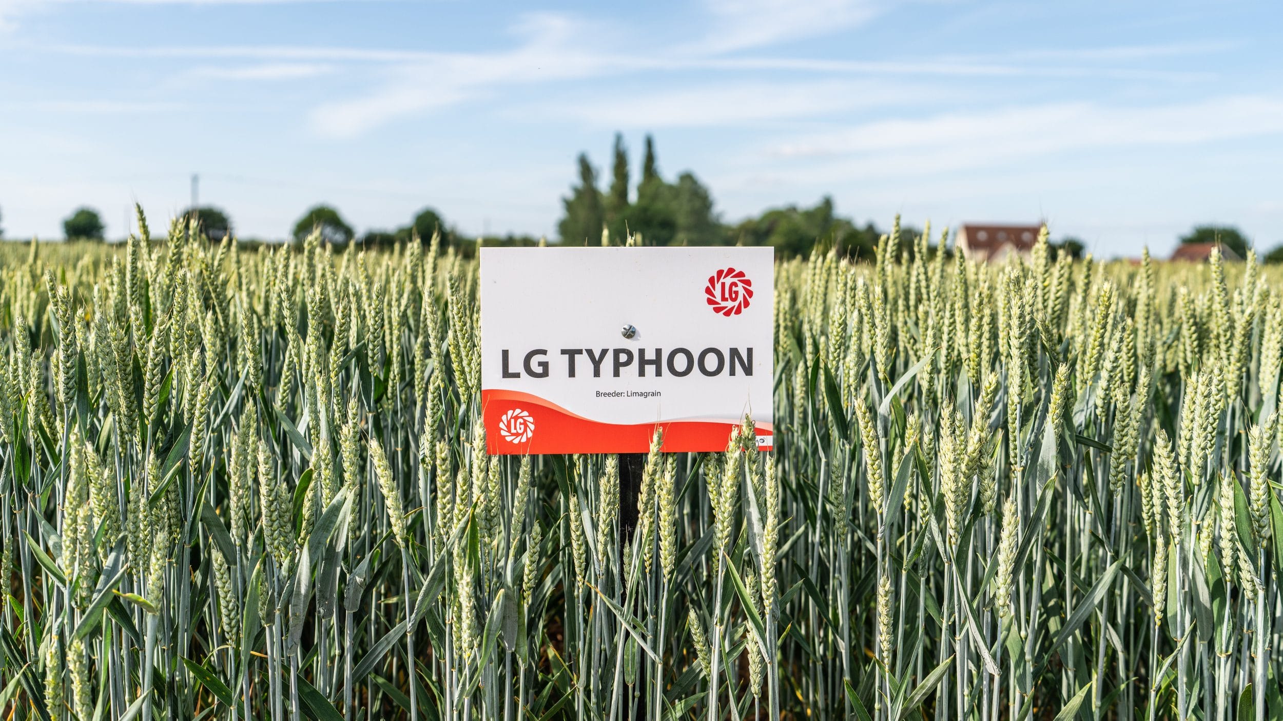 Perfect Fit for Regen System - LG Seeds