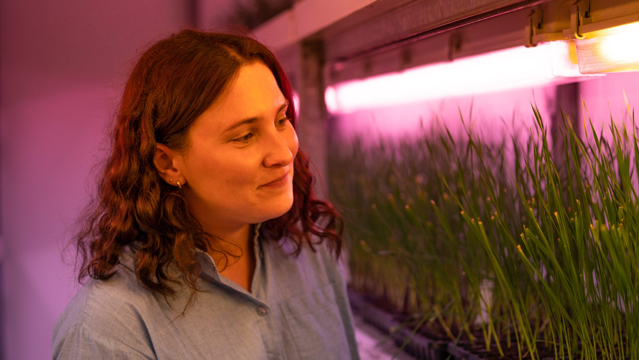 Ask The Breeder - Rachel Goddard - LG Seeds